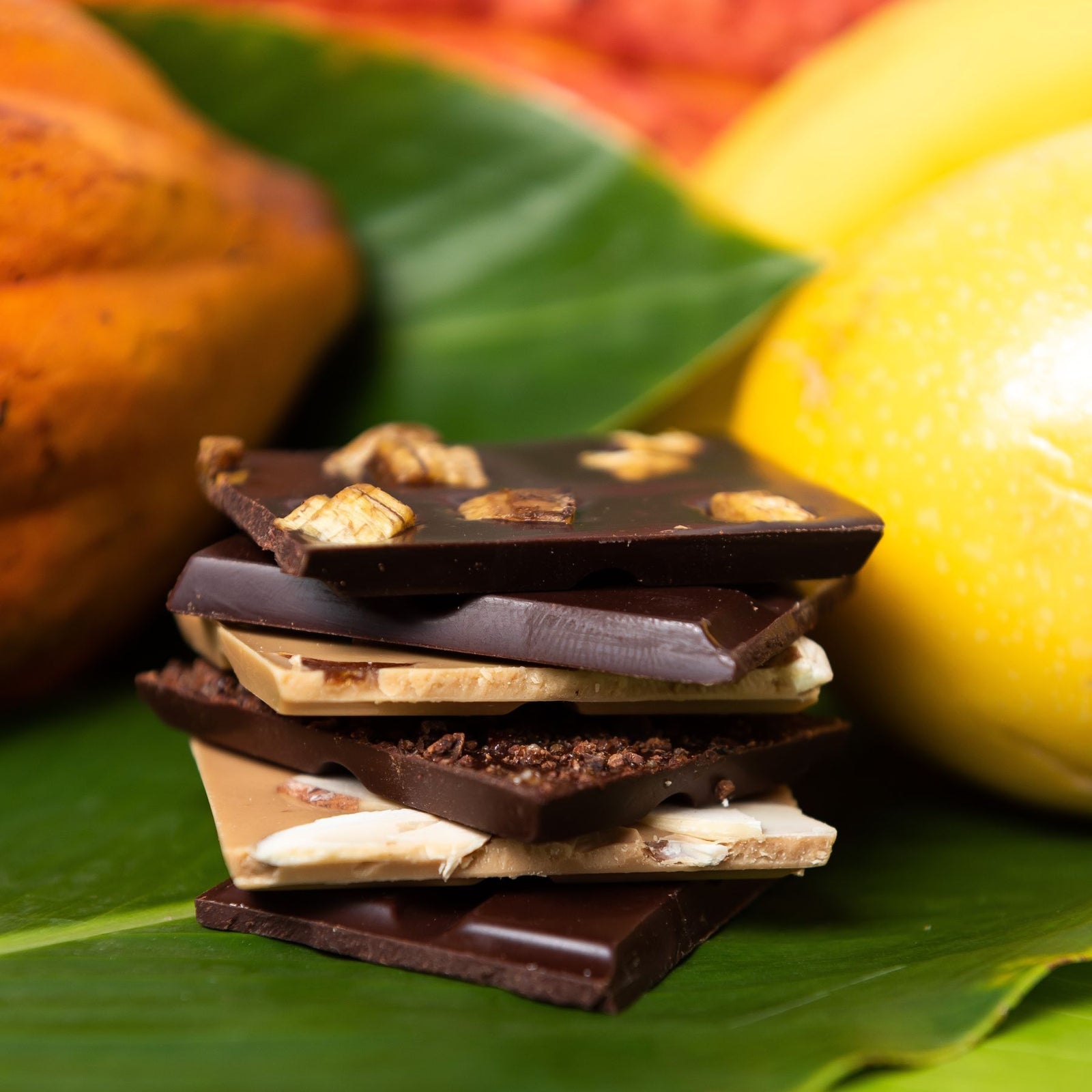 Single Origin Made Chocolate & Cacao - Ethical, Sustainable, Award-Winning