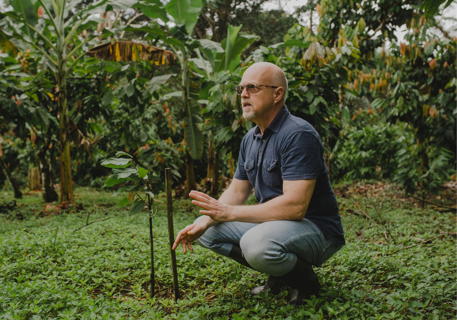 Baianí Chocolates Brazilian Tree-to-Bar - Tuta & Juliana Aquino